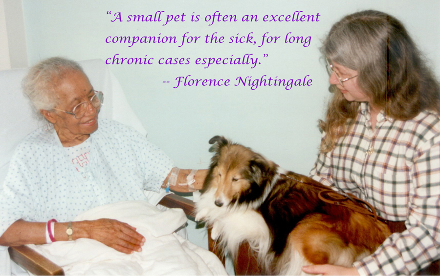 Therapy animals | Animals Helping People